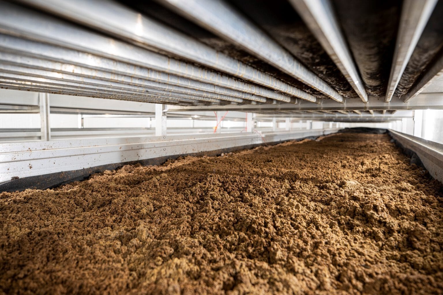 ZOEM - Insect Engineers